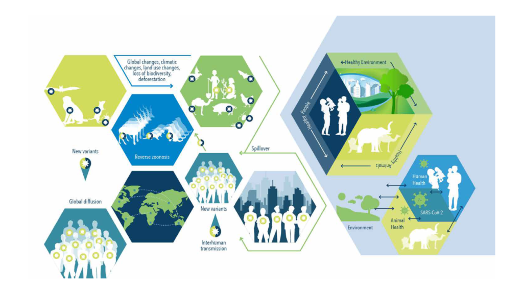 Biogenysis One – Adnexus