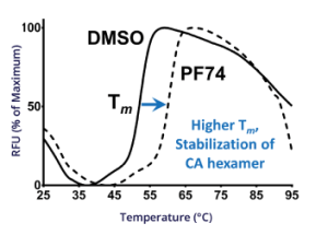 Research & Development – Adnexus
