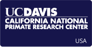 Adnexus – Where Biology Meets Technology